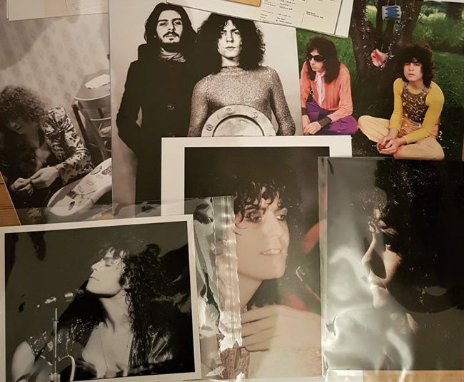 DANDY IN CAMERA! – Vive Le Rock