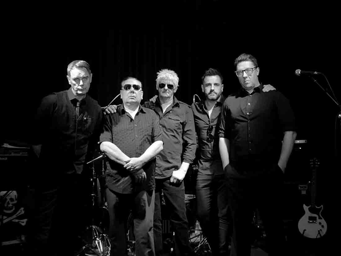 GAMMA GAMMA HEY! – Vive Le Rock